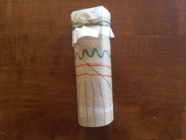 Make a Kazoo from a Recycled Cardboard Tube – Experiment Exchange